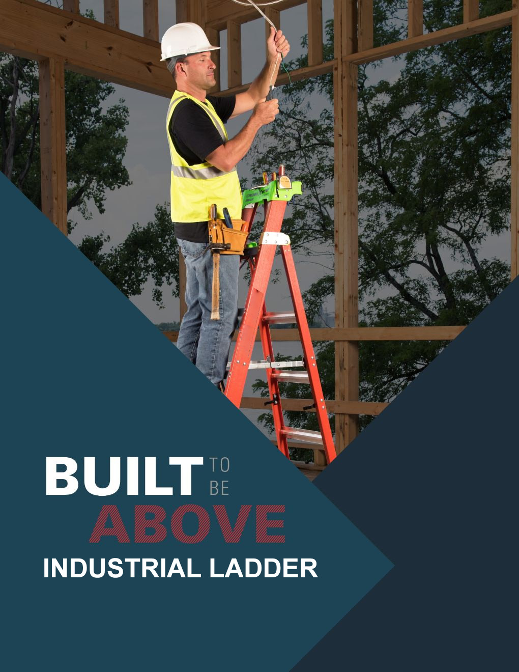 Industrial Ladder Series